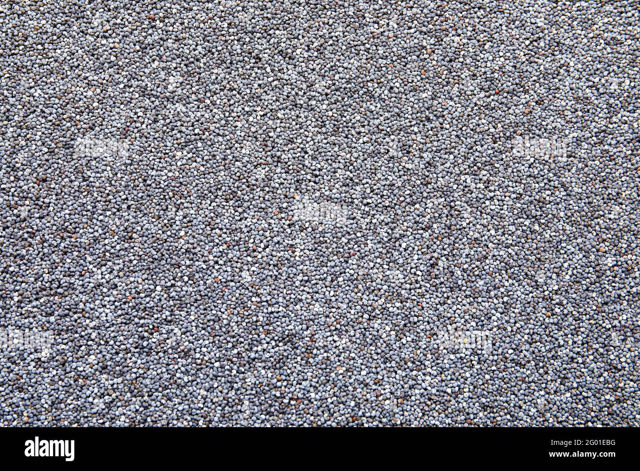 Texture of poppy seeds as background Stock Photo - Alamy