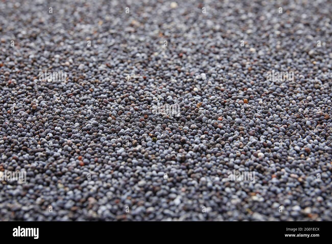 Texture of poppy seeds as background Stock Photo - Alamy