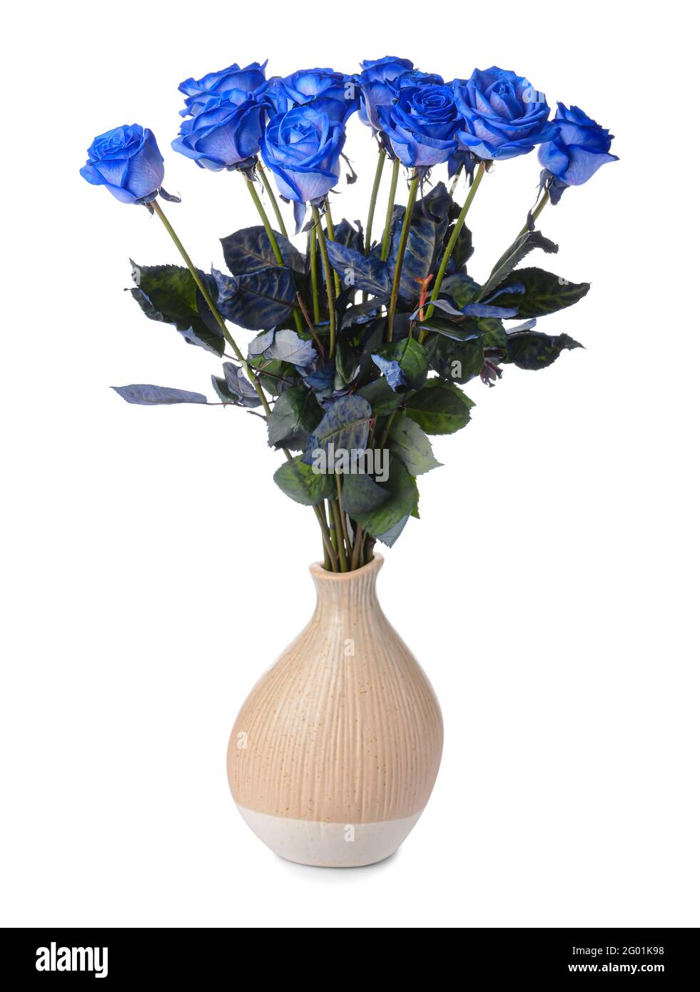 Vase with beautiful blue roses on white background Stock Photo - Alamy