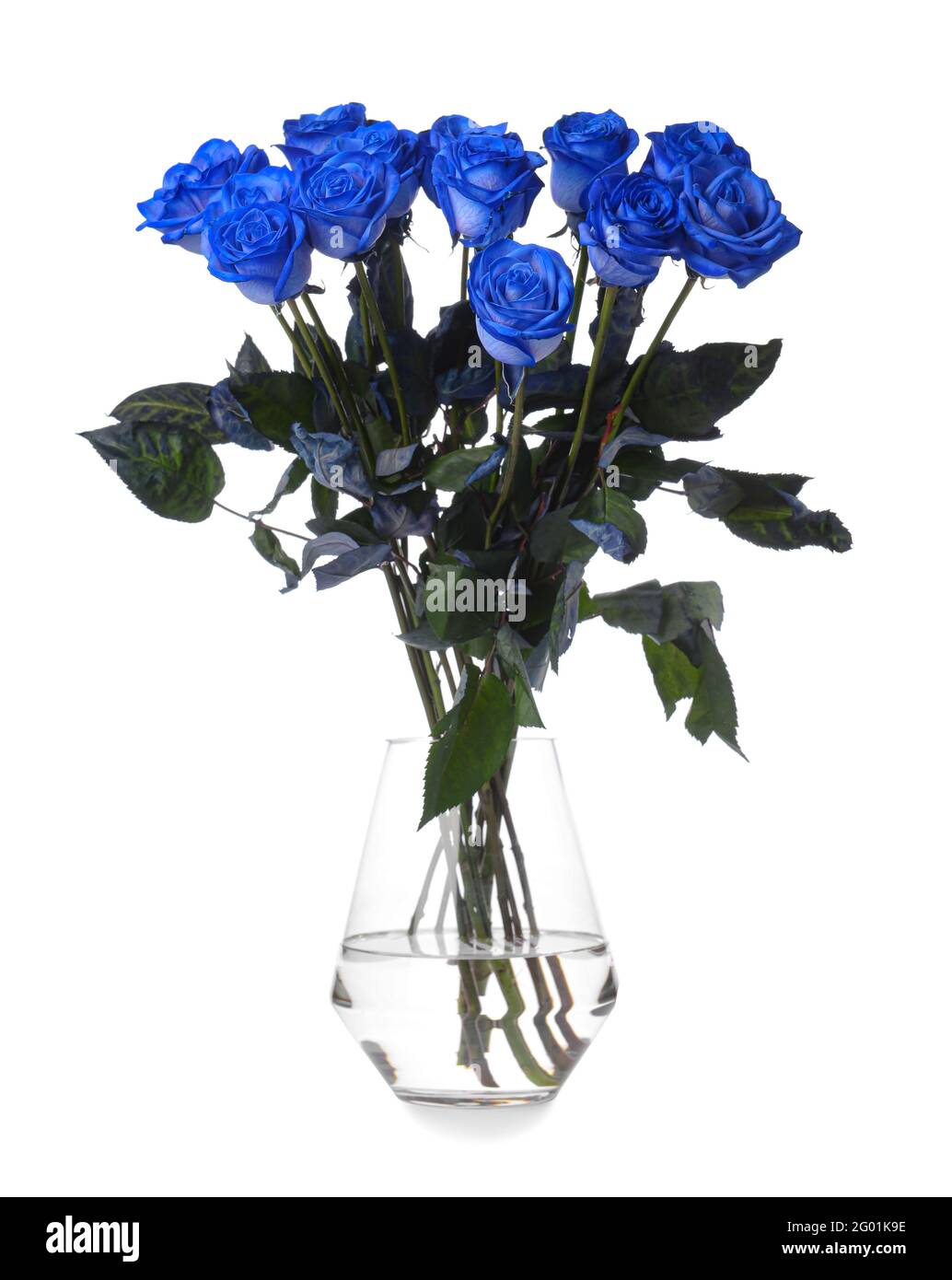 Vase with beautiful blue roses on white background Stock Photo - Alamy