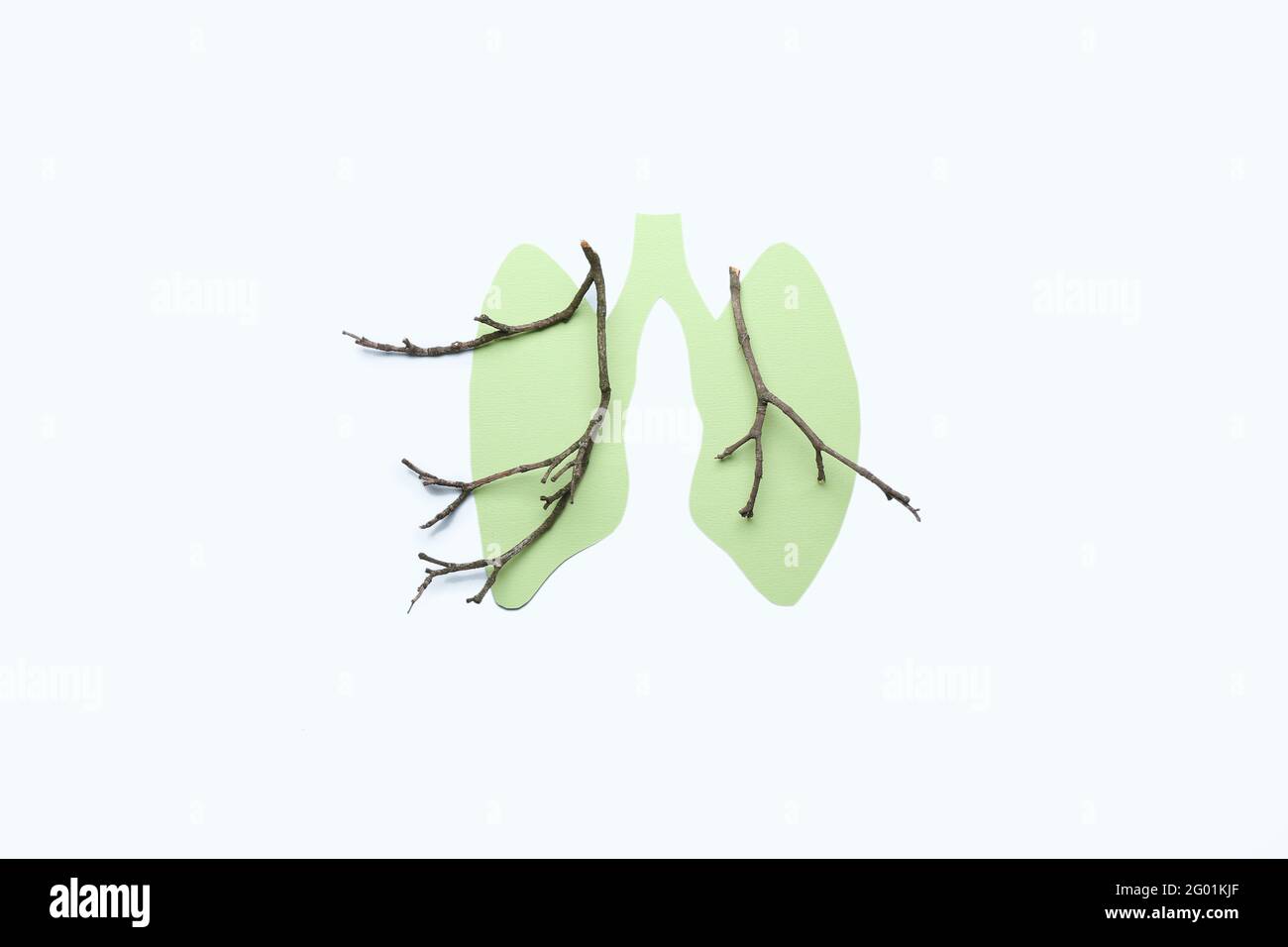 Human lungs with tree branches on light background. Ecology concept ...