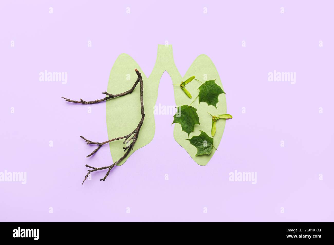 Human lungs with tree branches and leaves on color background. Ecology ...