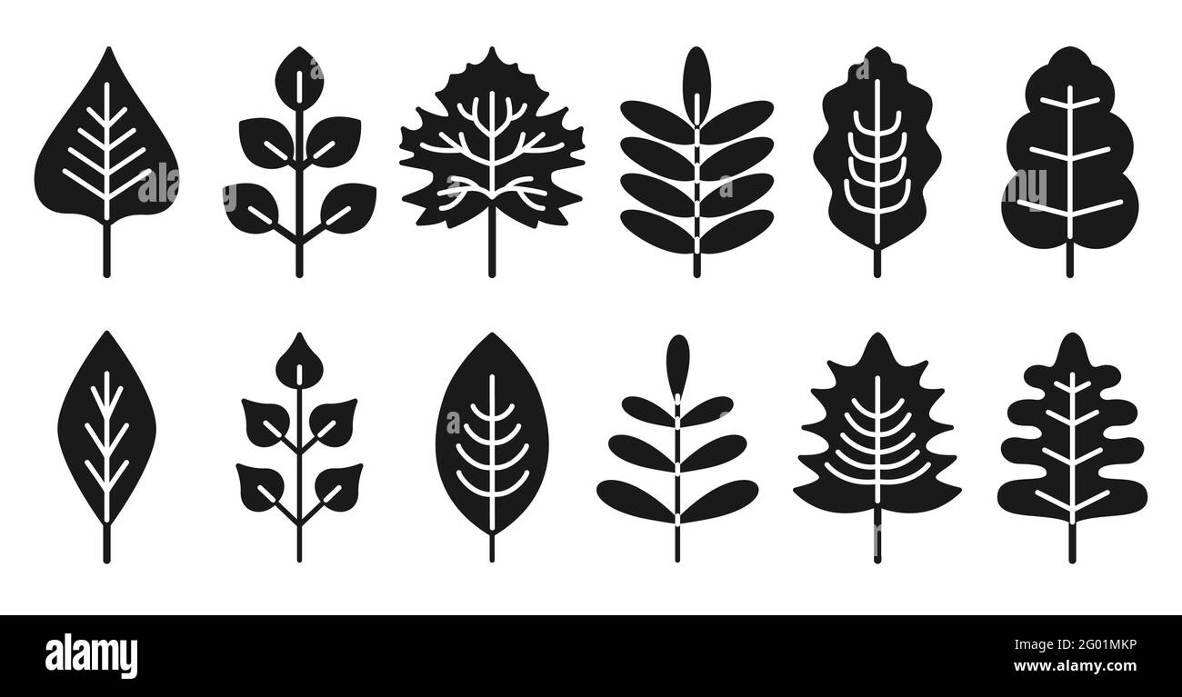 Simple Leaf Silhouette