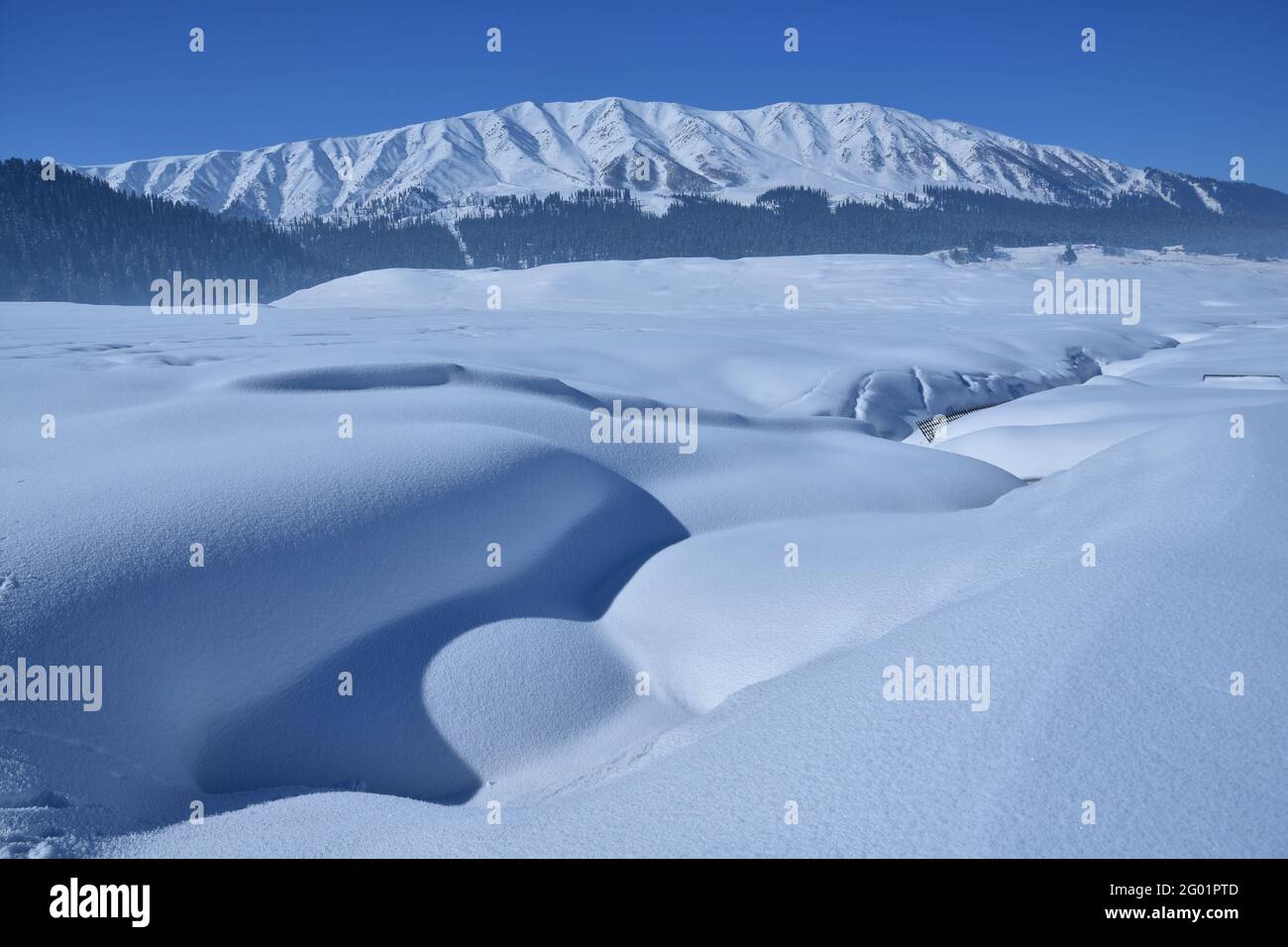 Gulmarg valley in Winter, Kashmir, India Stock Photo - Alamy