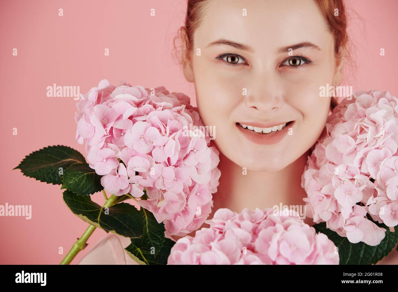 Beautiful blooming pink hydrangea flowers around face of pretty young ...