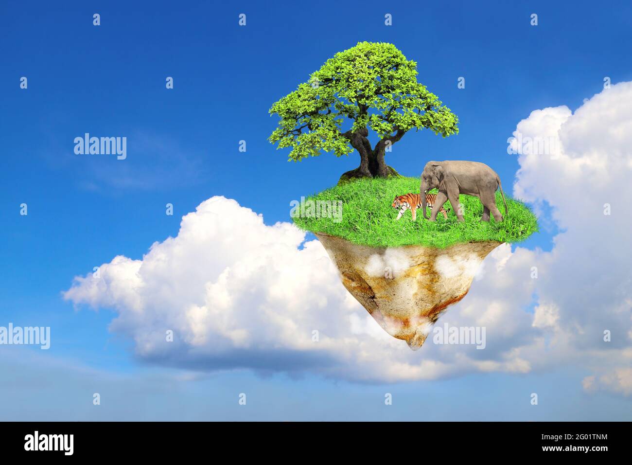 Nature reserve concept. Flying Island. Fantasy floating island with ...