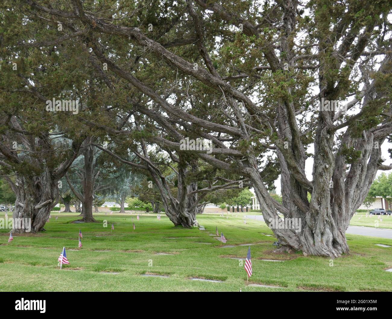 General santa ana hi-res stock photography and images - Alamy