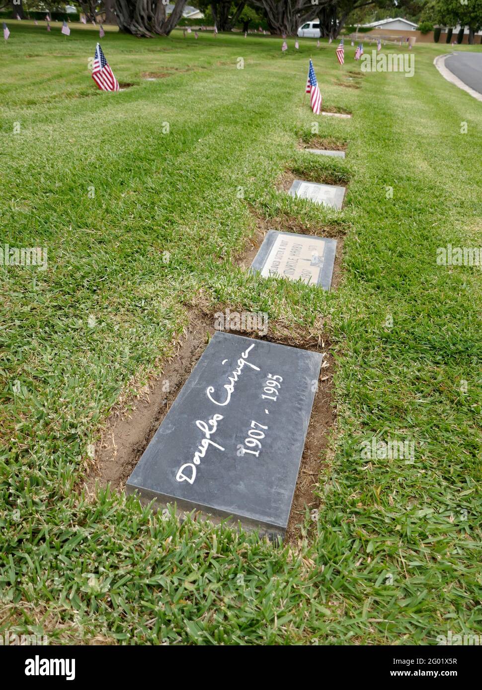 Santa Ana California Green at Fernando Smith blog