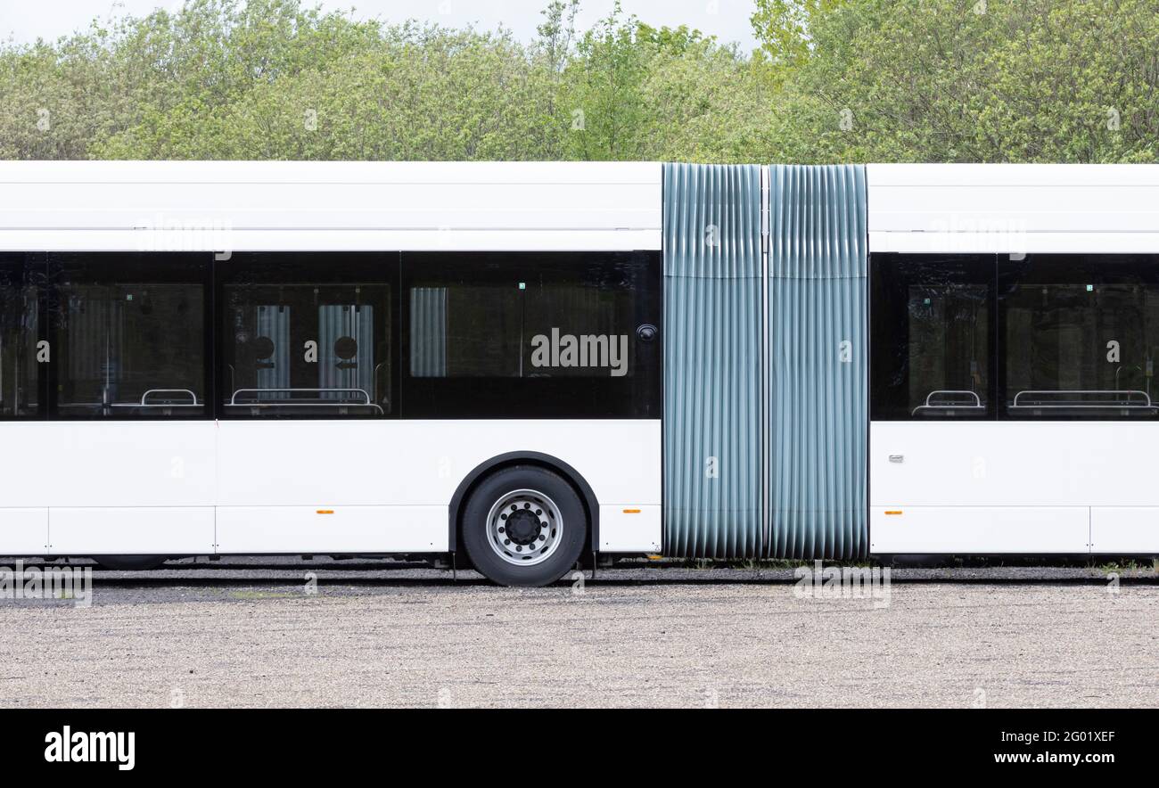 Long white bus, large capacity public transport Stock Photo - Alamy