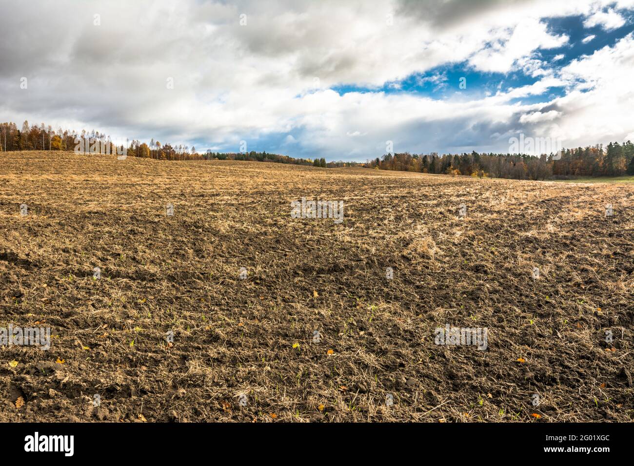 Landscape of autumn field and plowed ground on farmland, agricultural ...