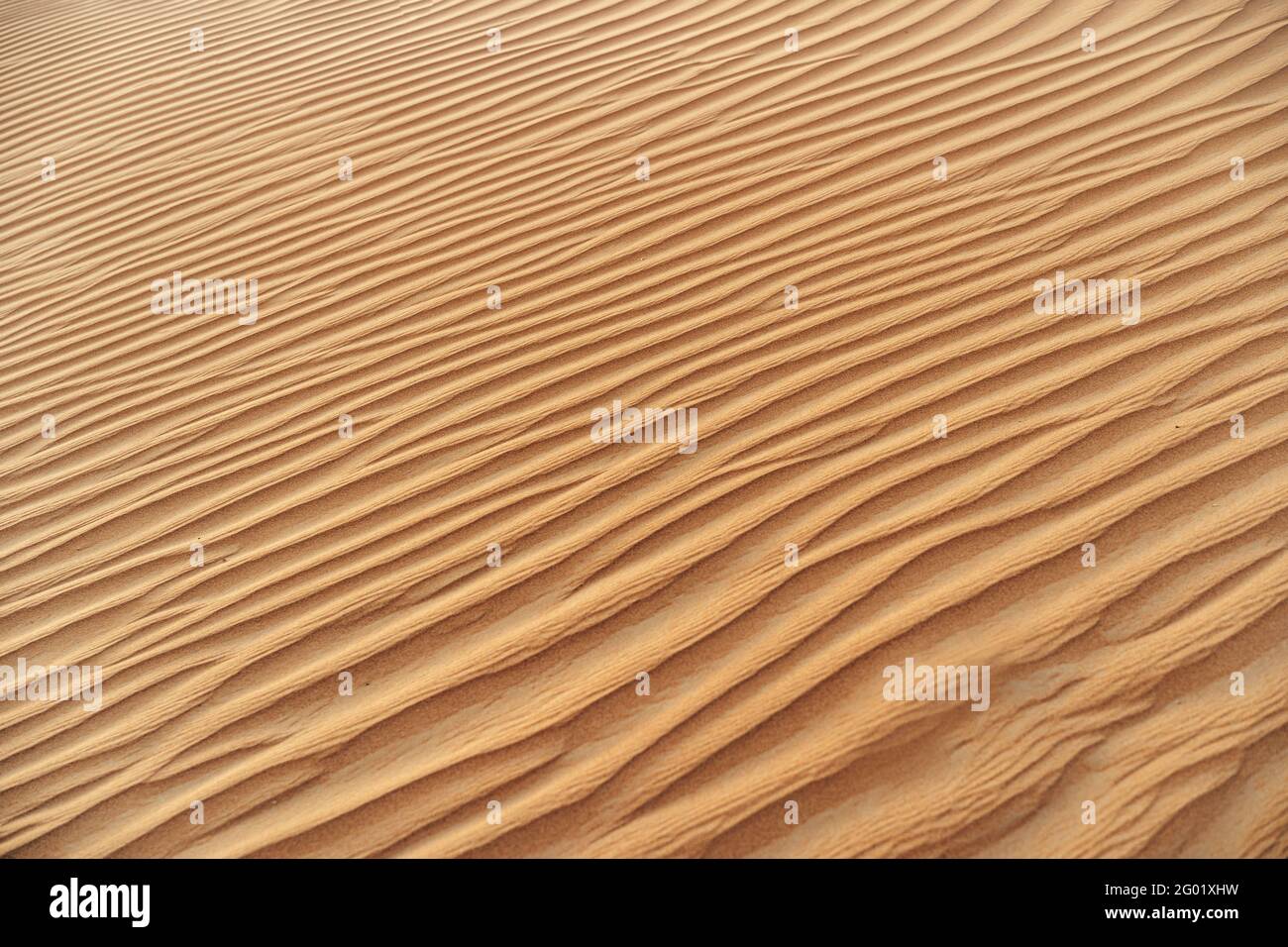 Wavy sand texture in Dubai desert close up Stock Photo - Alamy