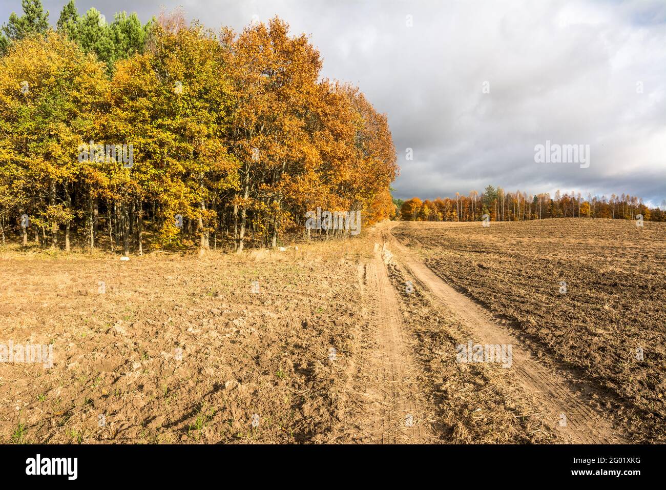 Village road through agricultural field hi-res stock photography and ...