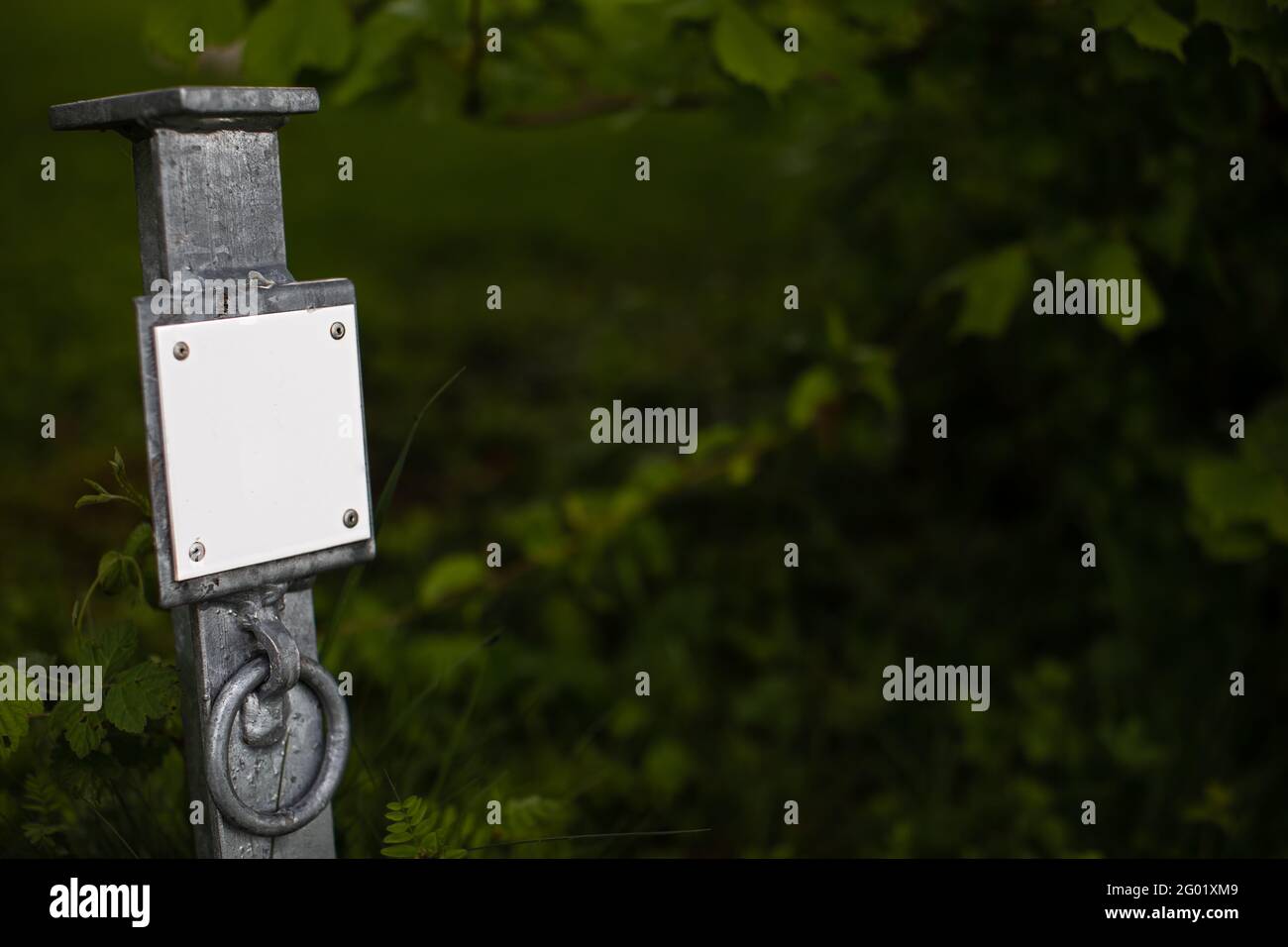 metal post with blank white sign in front of blurry green natural ...