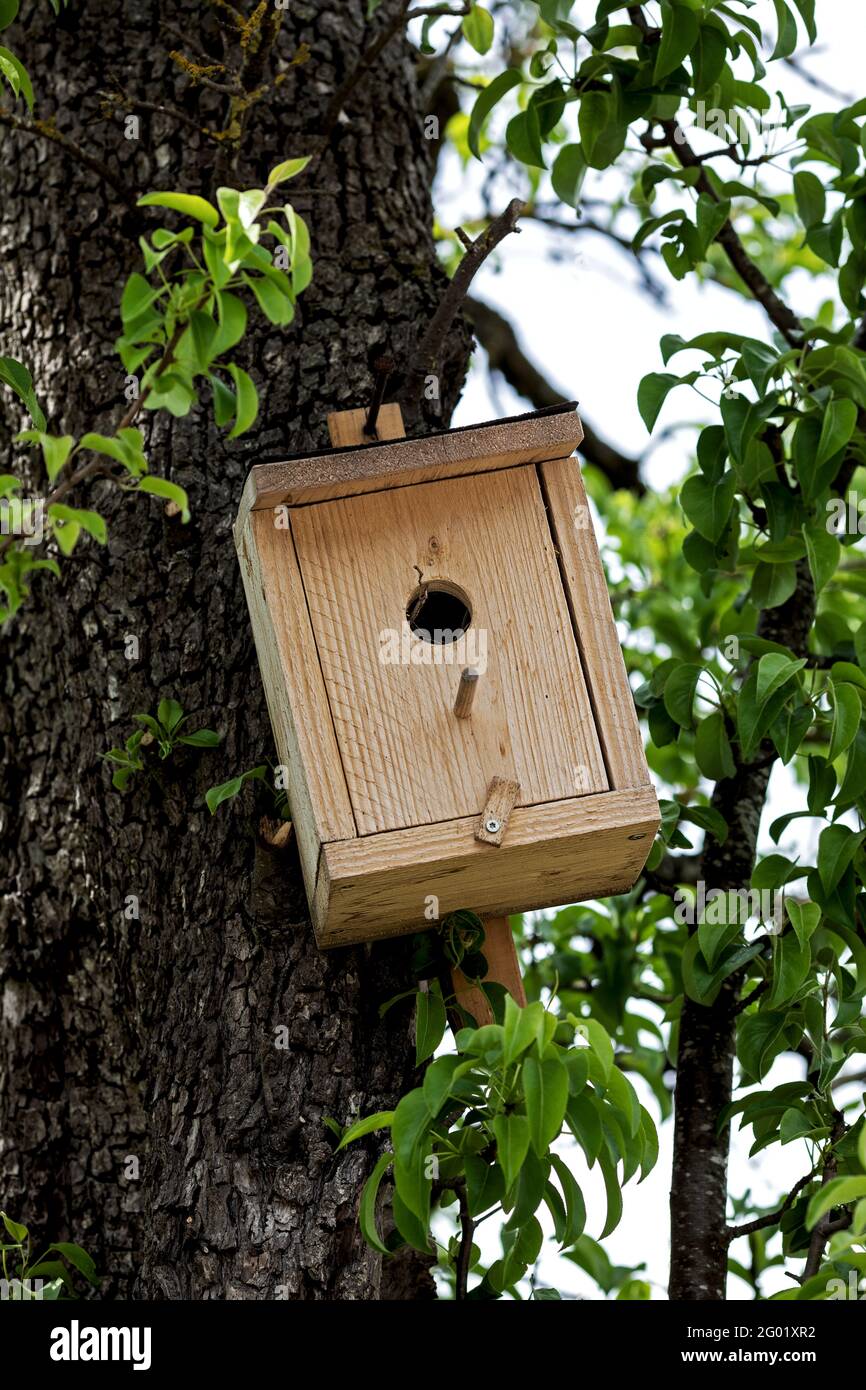 Nest box hanging at tree hi-res stock photography and images - Alamy