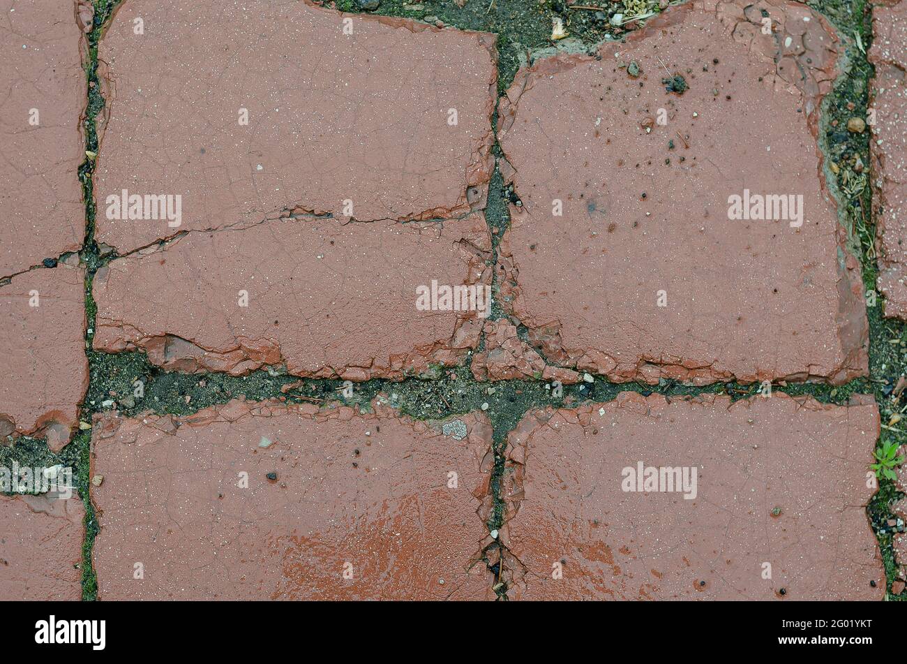 Old Cracked paving tiles. Red chipped wet sidewalk. Daytime. Shooting ...