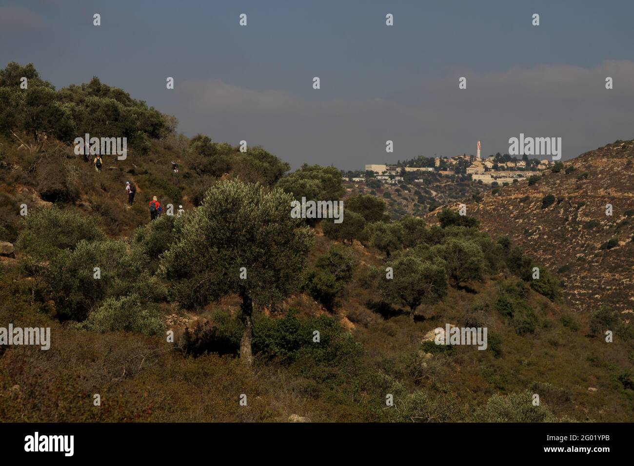 Israeli hikers, senior adults, climb a Judean Hills mountain on a ...