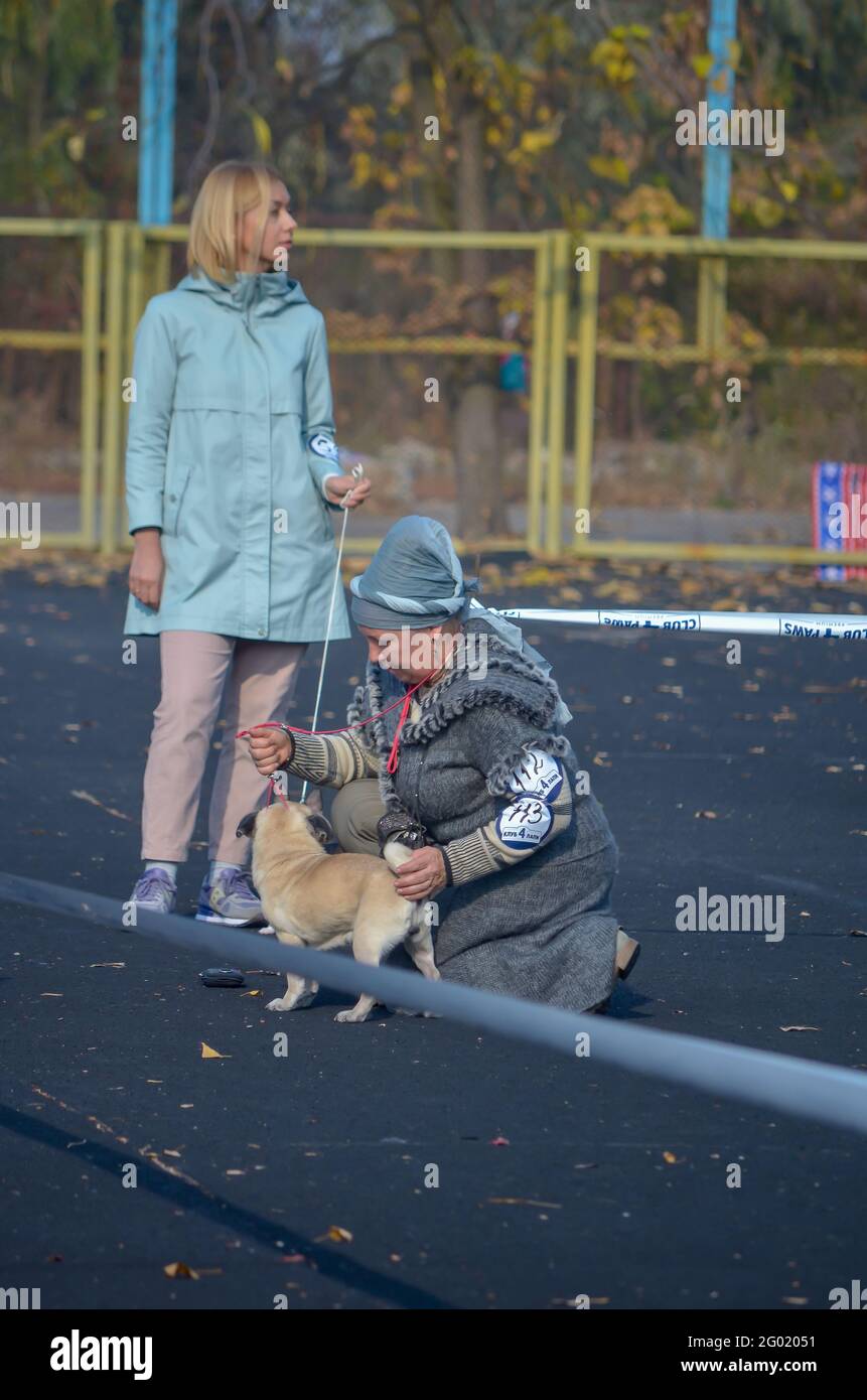 Two women with their pets in the ring at the dog show. Owners show ...