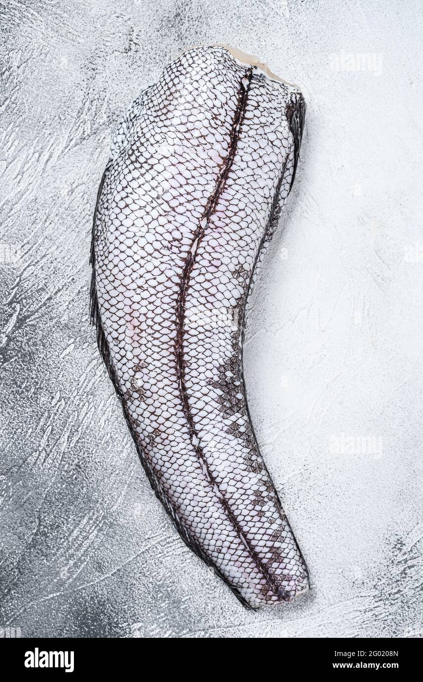 Grenadier fish hi-res stock photography and images - Alamy