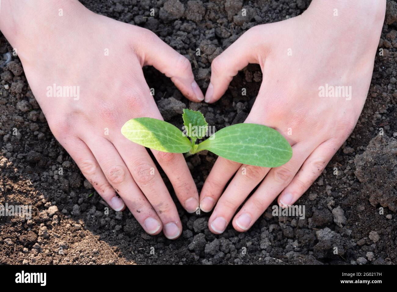 Soil heart shape hi-res stock photography and images - Alamy