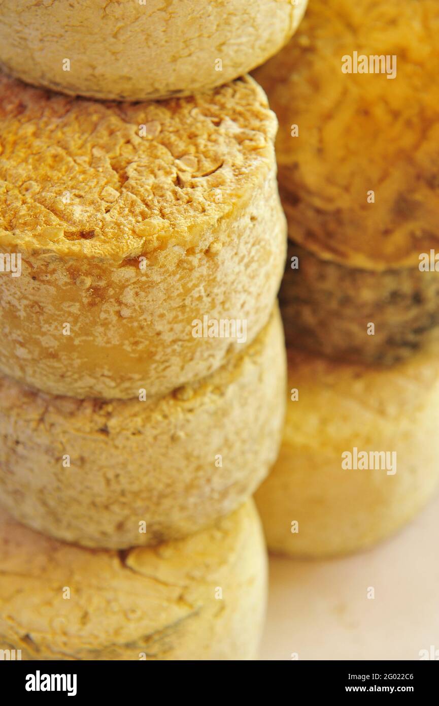 FRANCE. CORSE DU SUD (2A) AJACCIO, CORSICAN GOAT CHEESE Stock Photo - Alamy