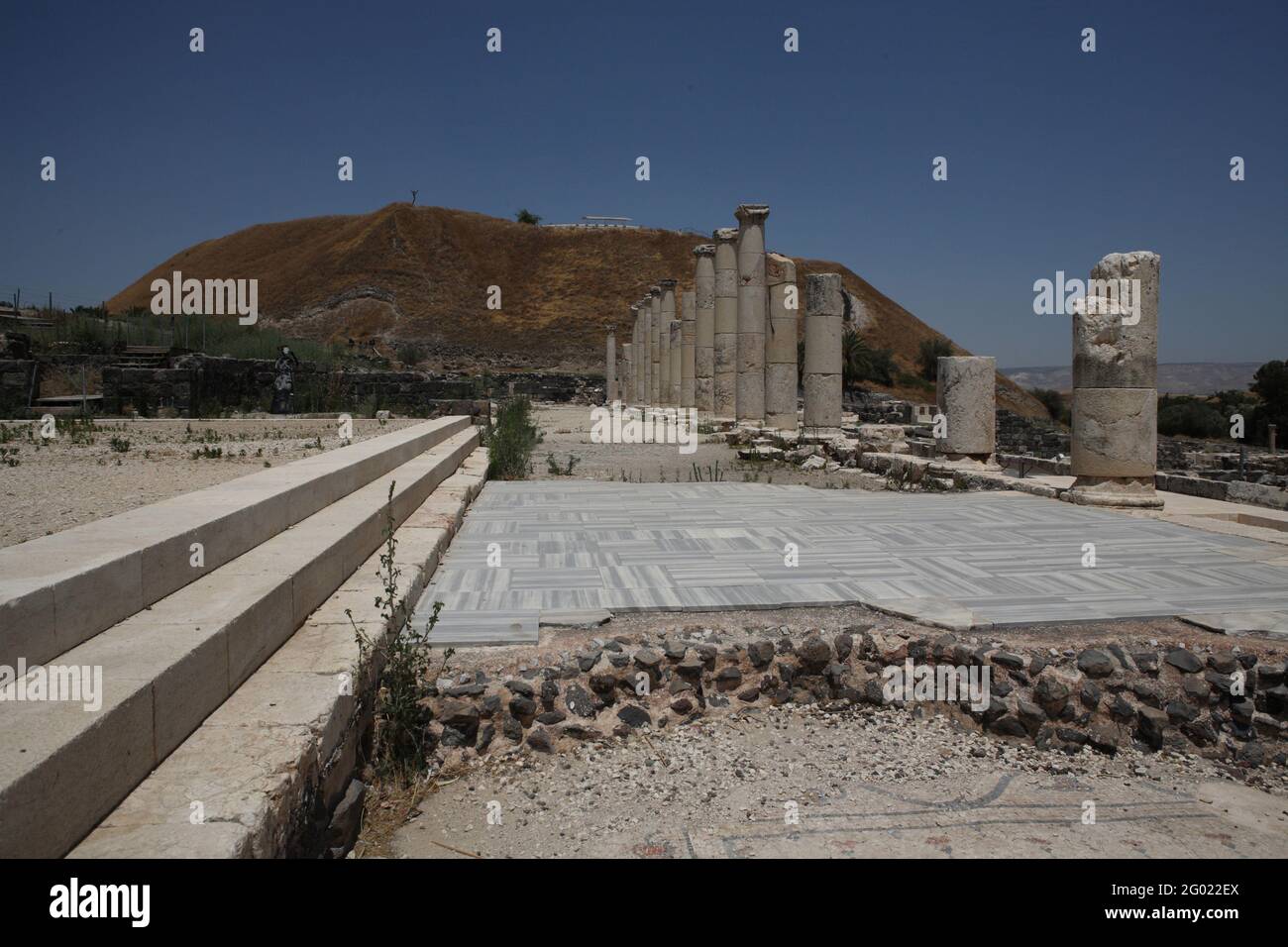 Palladius hi-res stock photography and images - Alamy