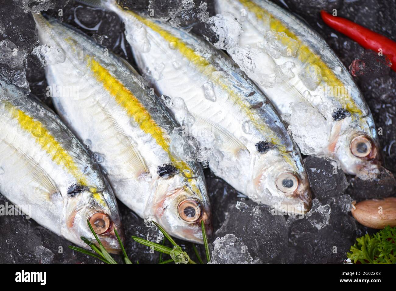 Tripe black and white hi-res stock photography and images - Alamy