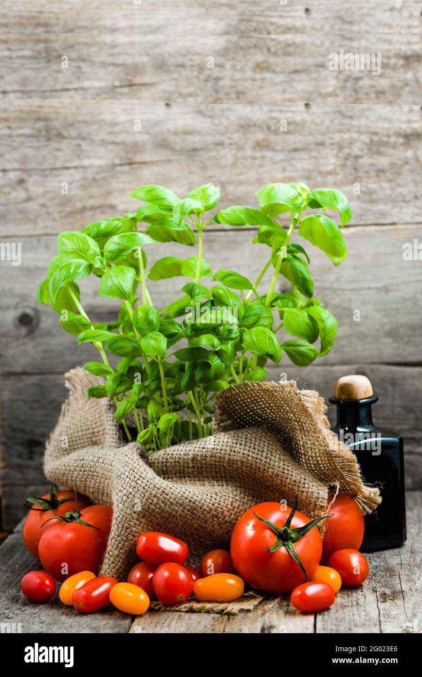 Vegetables and spices. Fresh basil and tomatoes, italian cuisine ...
