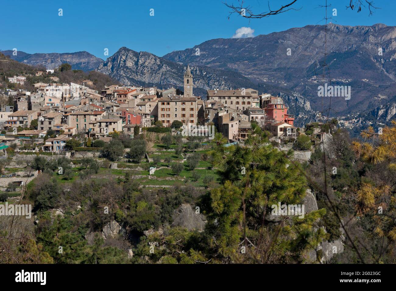 Broc hi-res stock photography and images - Alamy