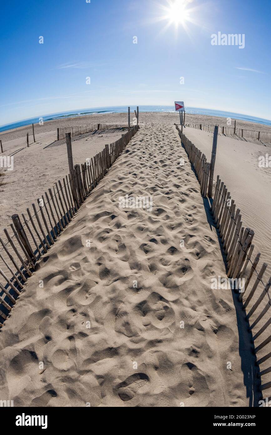 FRANCE, PYRENEES-ORIENTALES (66) CANET-EN-ROUSSILLON, MAR ESTANG BEACH ...
