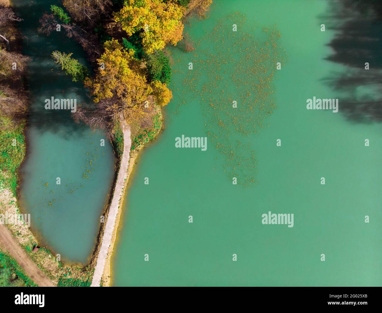 Top view of a beautiful blue lake among the autumn forest Stock Photo ...
