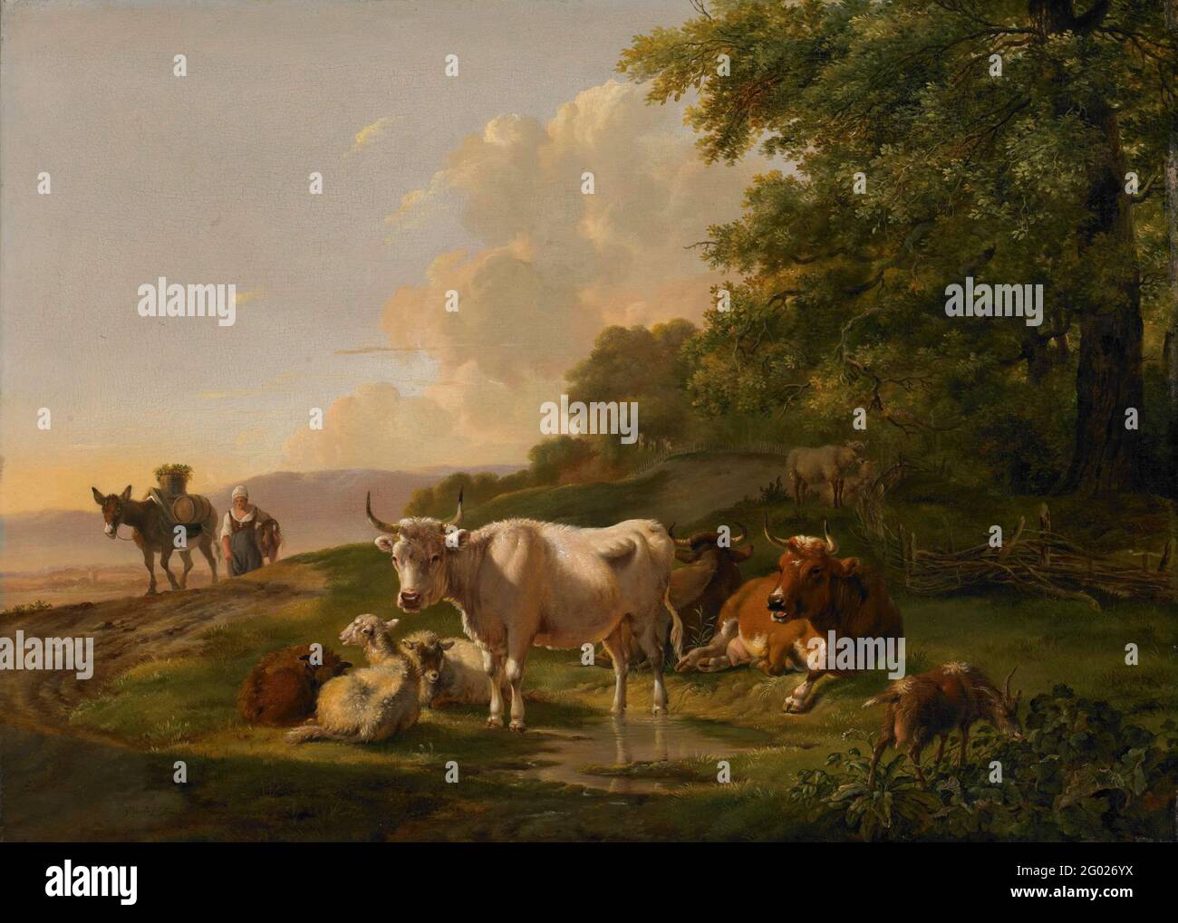 Landscape with cattle. Landscape with cattle. With a plas along a road ...