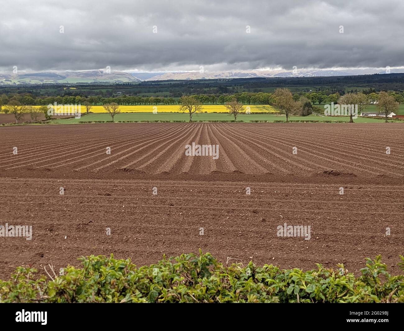 Perthshire farm landscape scotland uk hi-res stock photography and ...