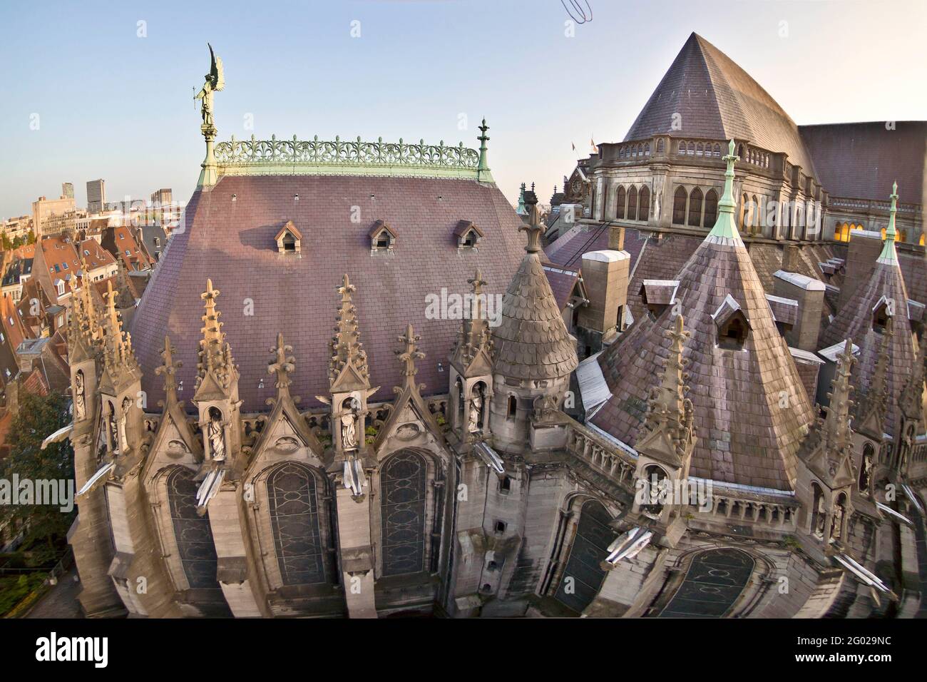 FRANCE. NORD (59) LILLE - CATHEDRAL NOTRE DAME DE LA TREILLE Stock ...