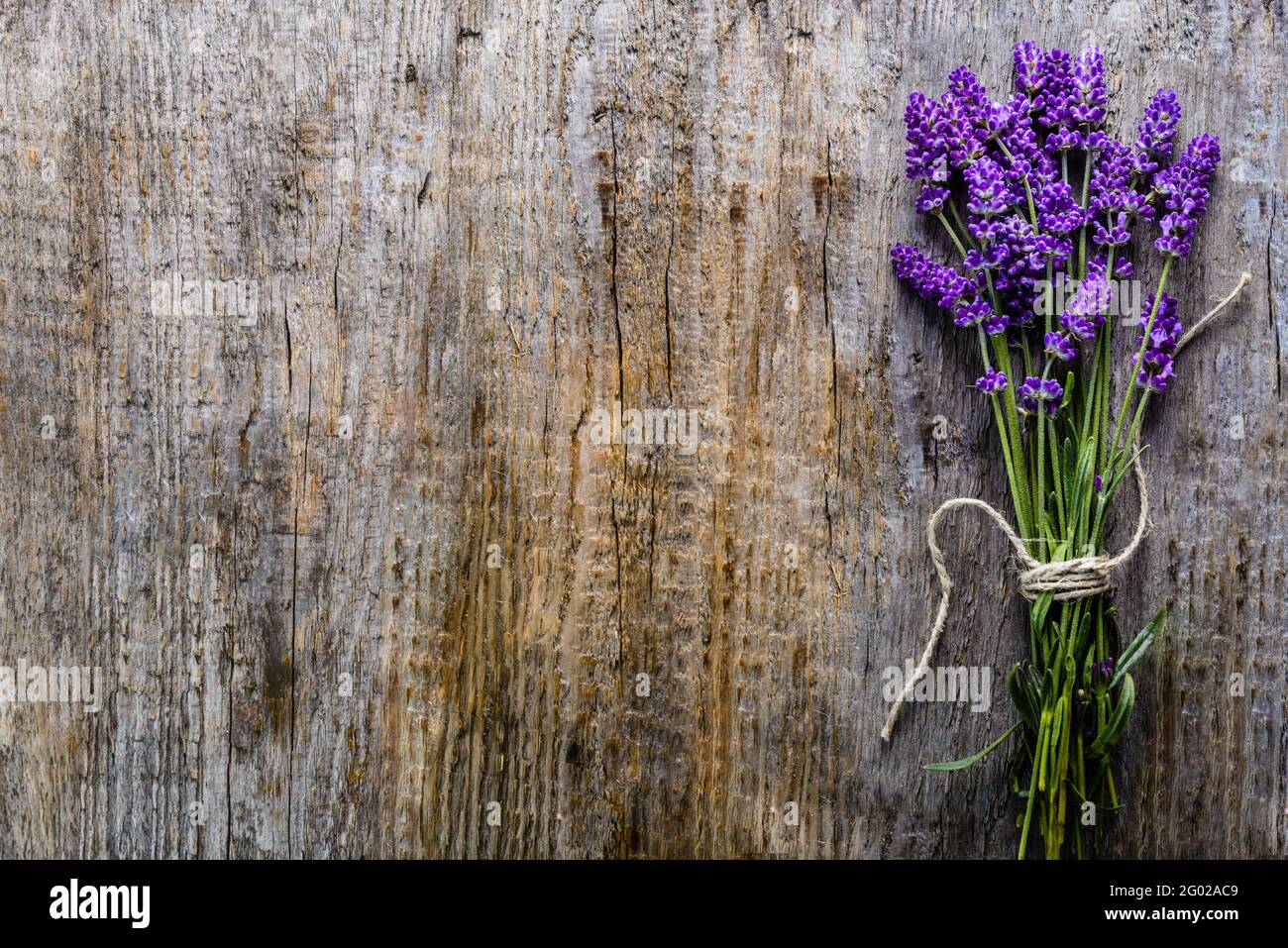 Top view lavender bouquet hi-res stock photography and images - Alamy