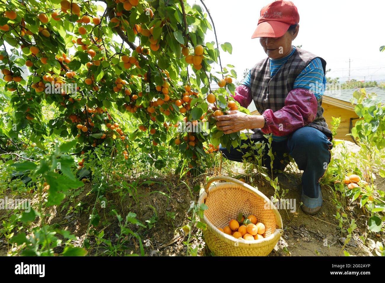 Rural revitalization hi-res stock photography and images - Alamy