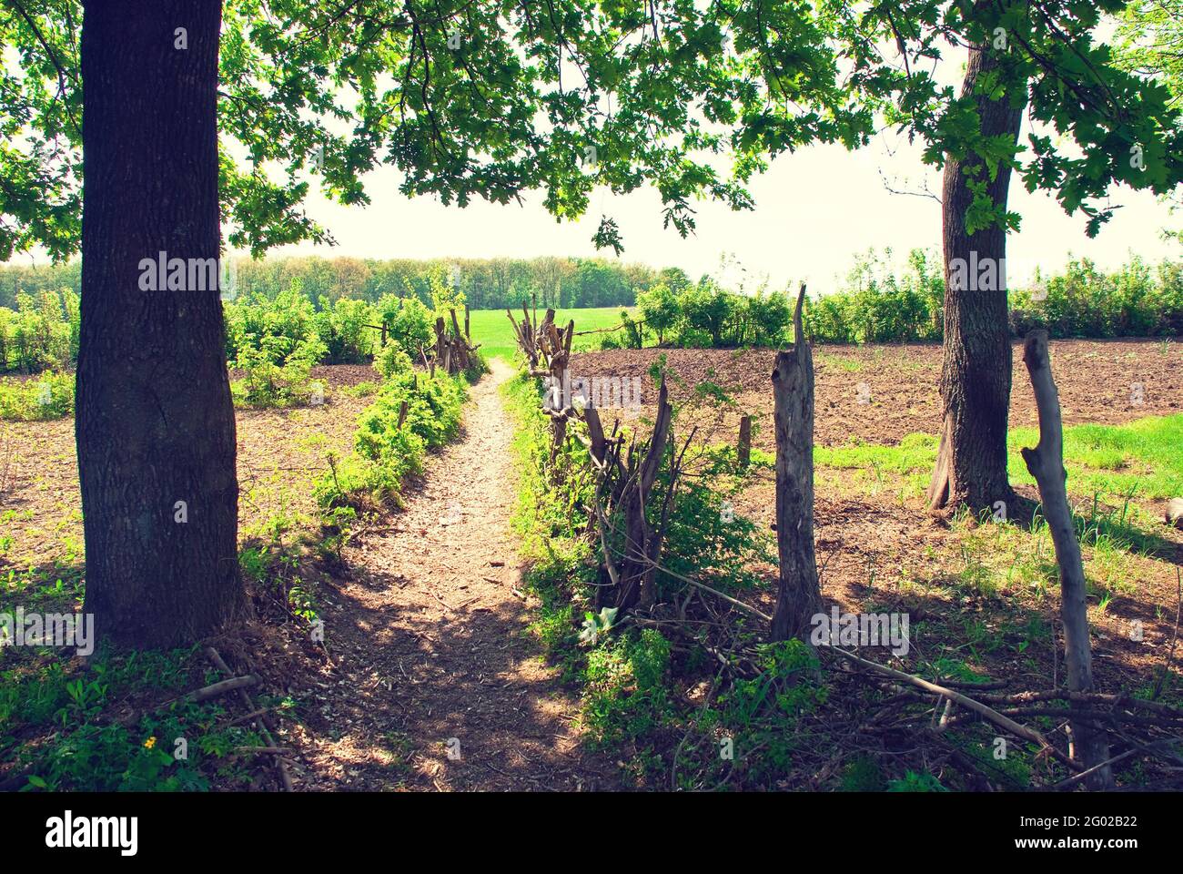 Garden track hi-res stock photography and images - Alamy