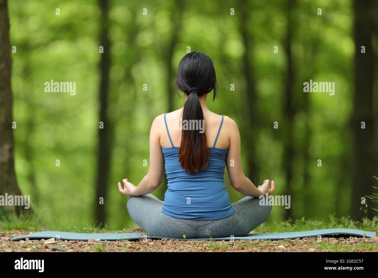 Back view full body portrait of a woman doing yoga in a forest Stock ...