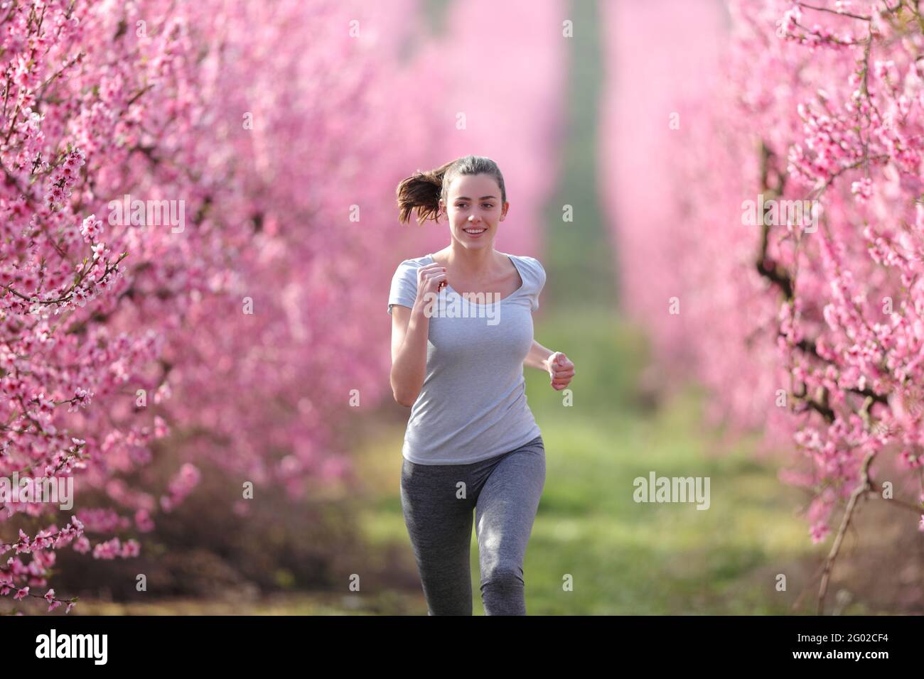 Front view portrait of a runner running in a pink field in springtime ...