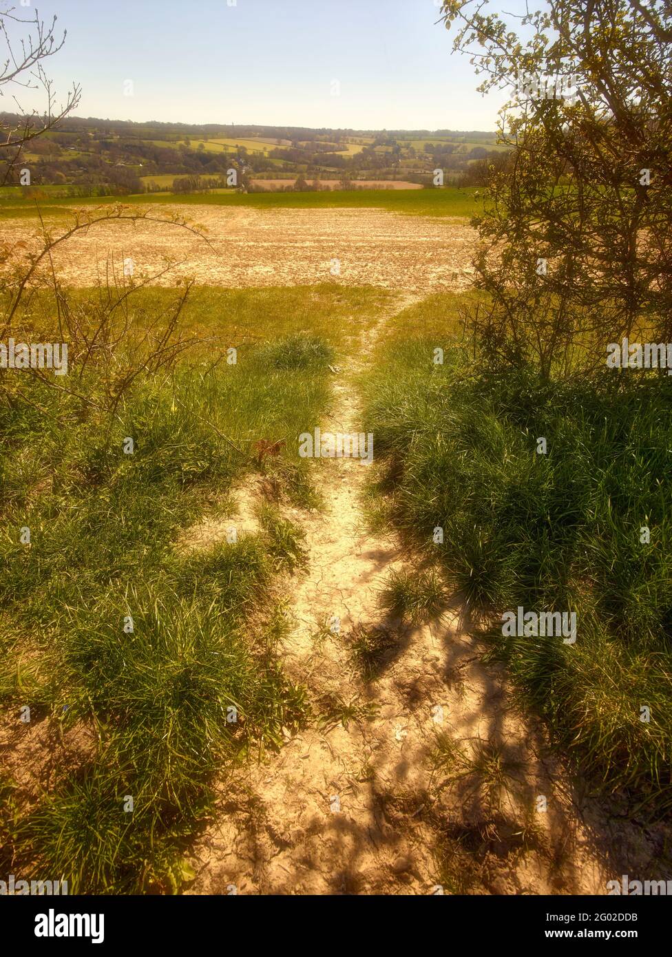 Arid path through wide Kent farming landscape, Southern England, United ...