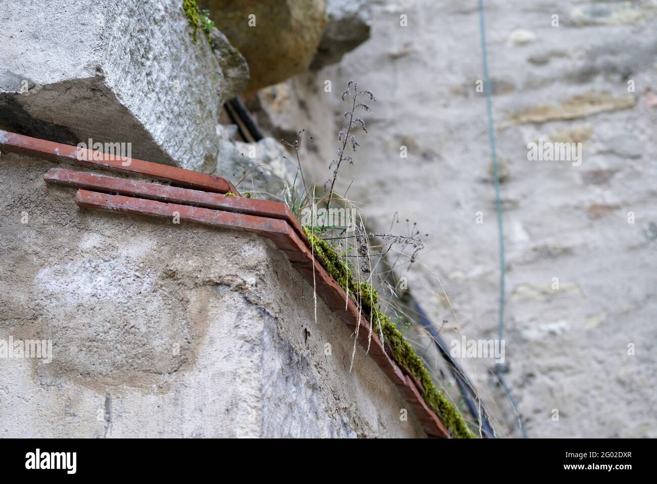 Ledge of an old church covered with bricks and overgrown with plants ...