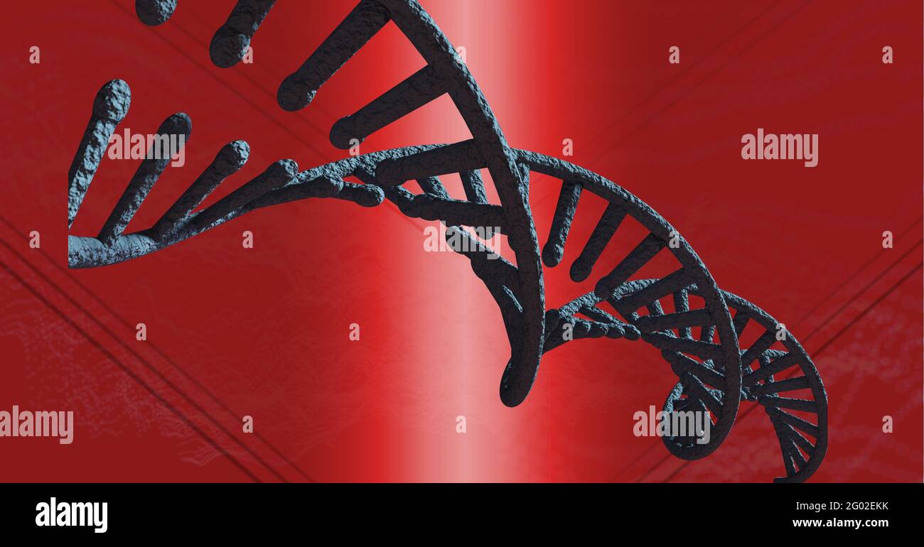 Composition of 3d dna strand on red background Stock Photo - Alamy