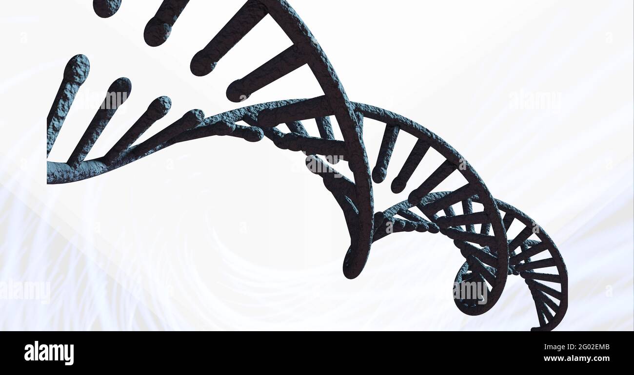 Composition of 3d dna strand on white background Stock Photo - Alamy