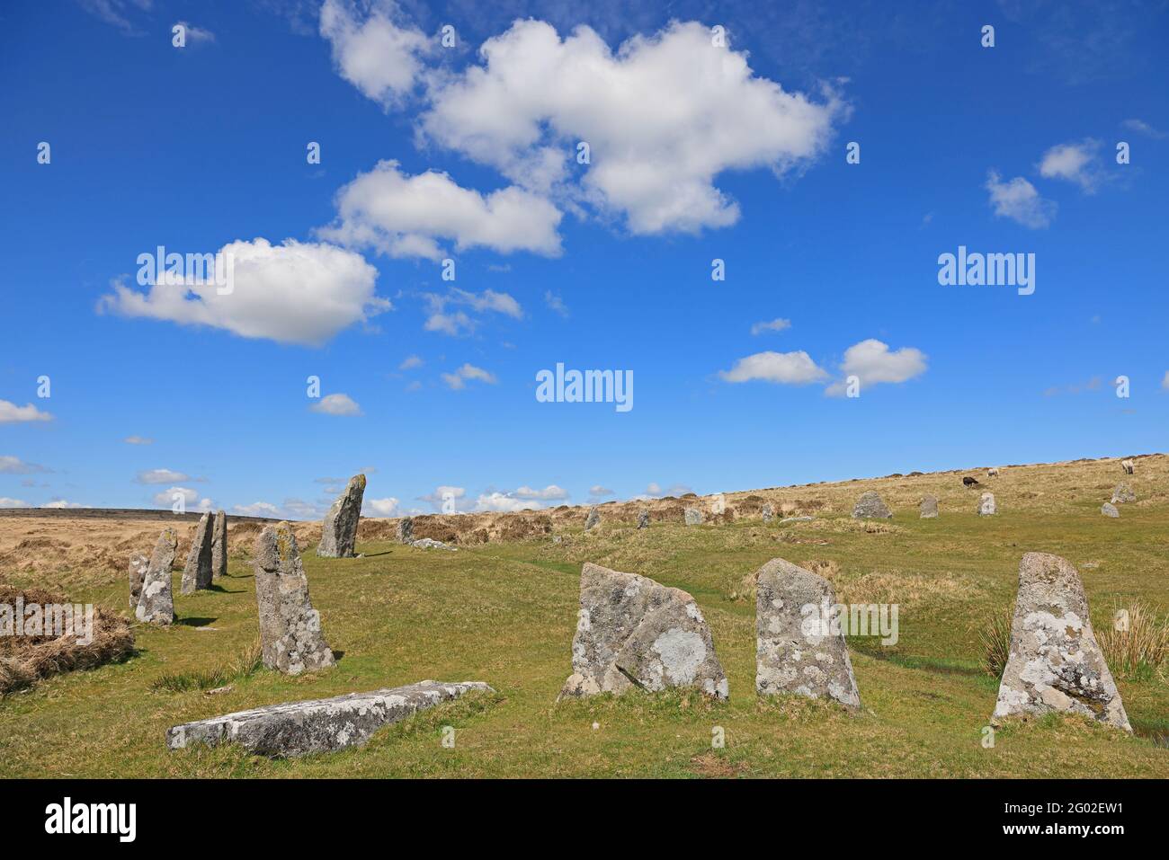 Stone Circle on Scorhill Down Dartmoor UK Stock Photo - Alamy