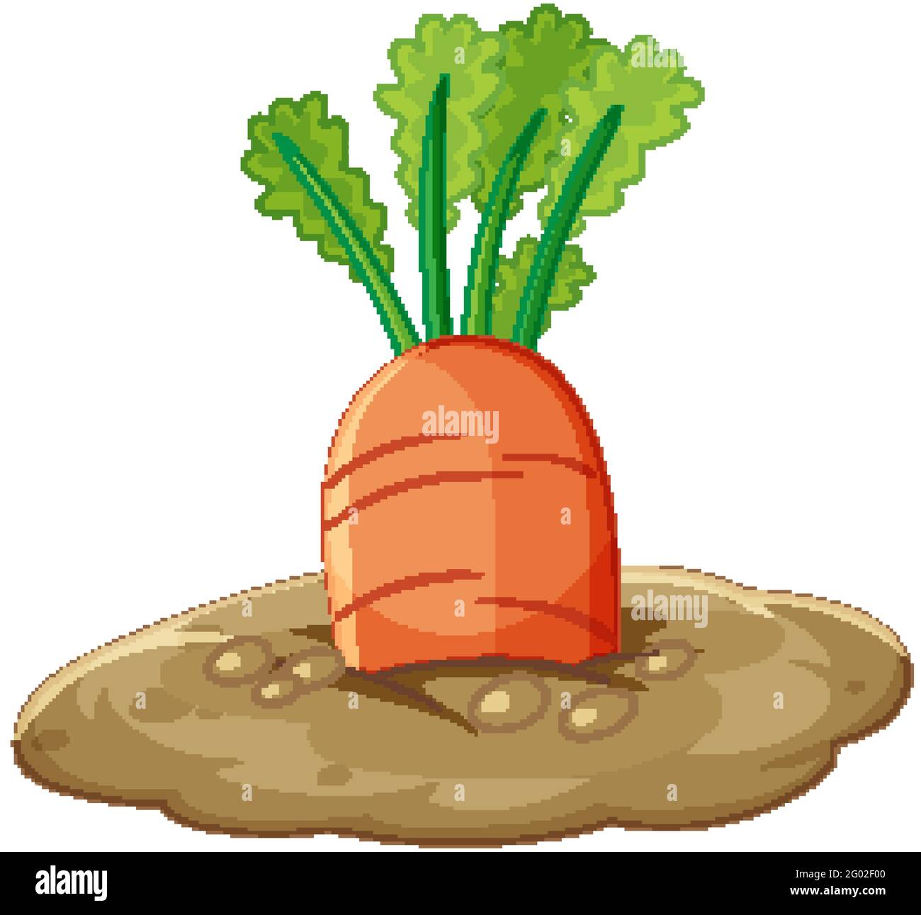 Carrot root in soil cartoon style isolated illustration Stock Vector ...