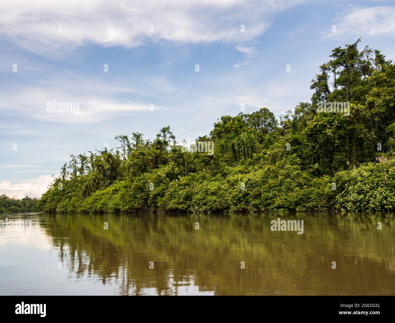 View of the Jungle on the bank of Brazza River, West Papua, Indonesia ...
