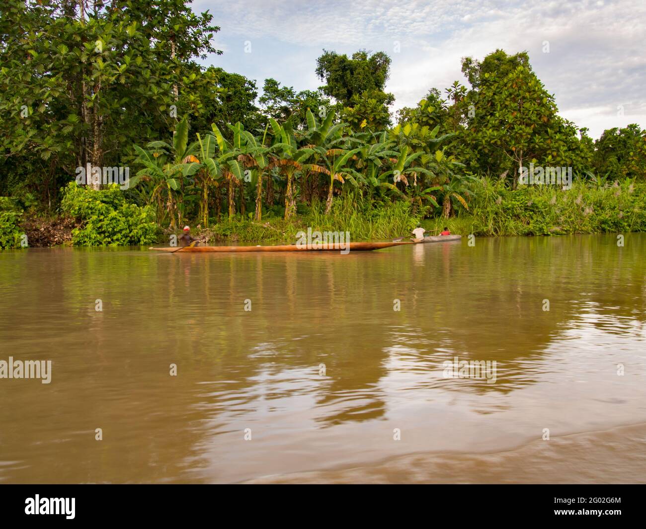 View of the Jungle on the bank of Brazza River, West Papua, Indonesia ...