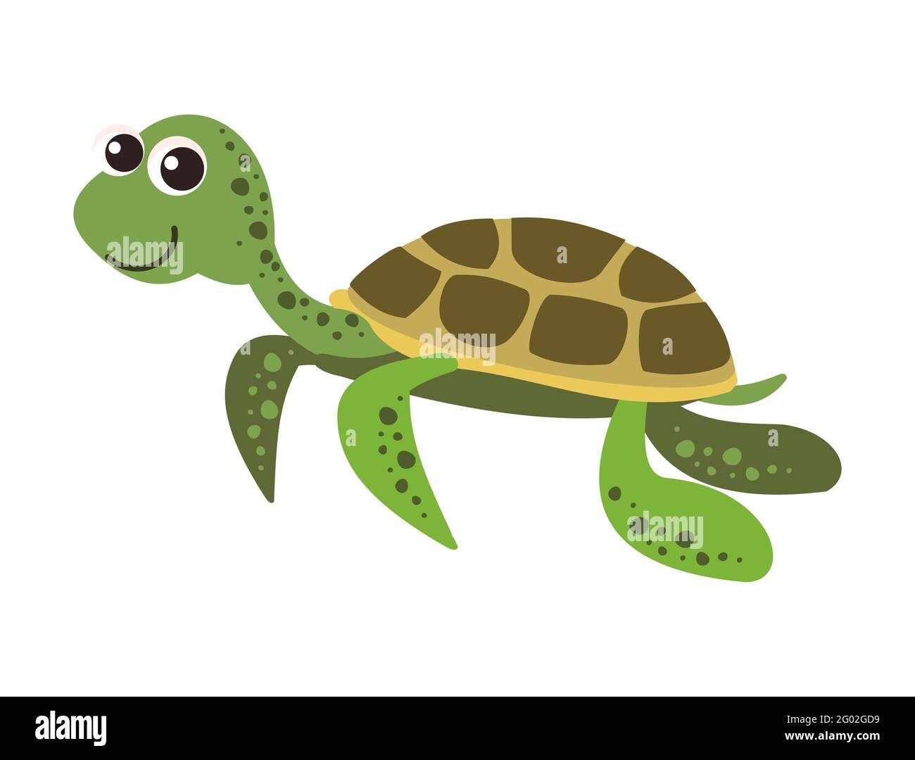 Turtle exotic fish on Stock Vector Images - Alamy