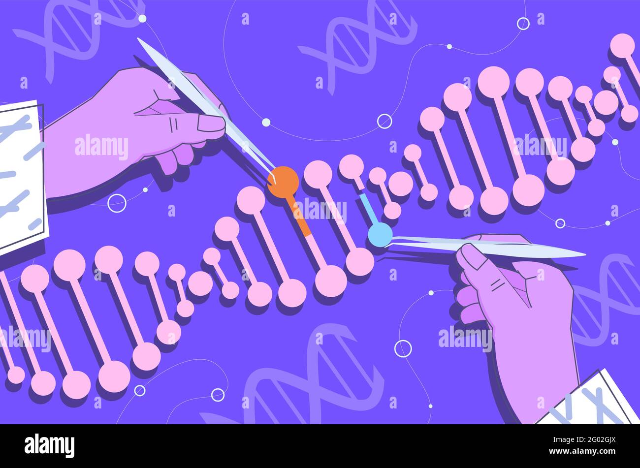 Human modified dna hi-res stock photography and images - Alamy