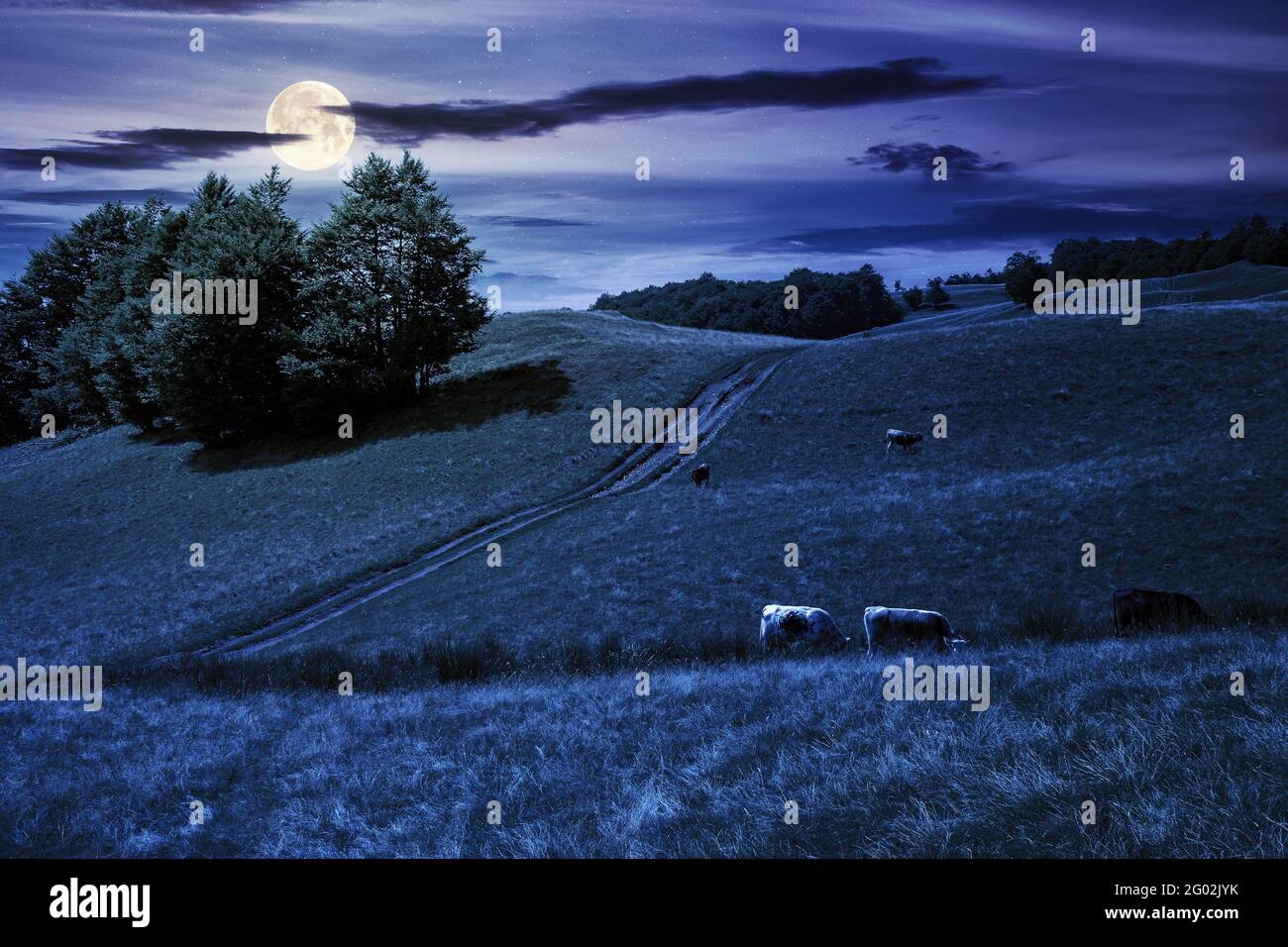 mountain landscape with pasture at night. beech trees on the hill in ...