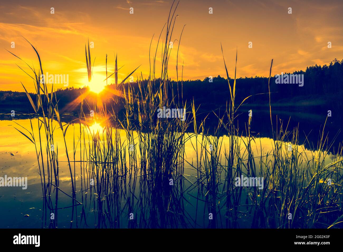 Summer landscape with sunset on the lake. Beautiful orange sundown or ...